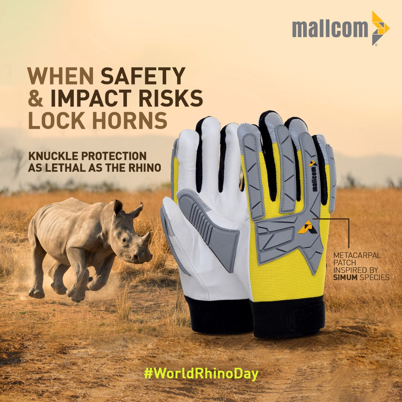 World Rhino Day: When Risks Lock Horns with Impact Resistance – Mallcom ...